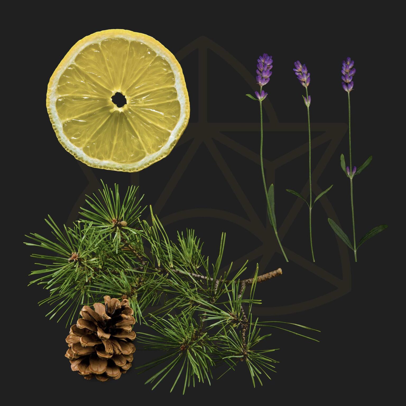 Flower – Aurum Botanics